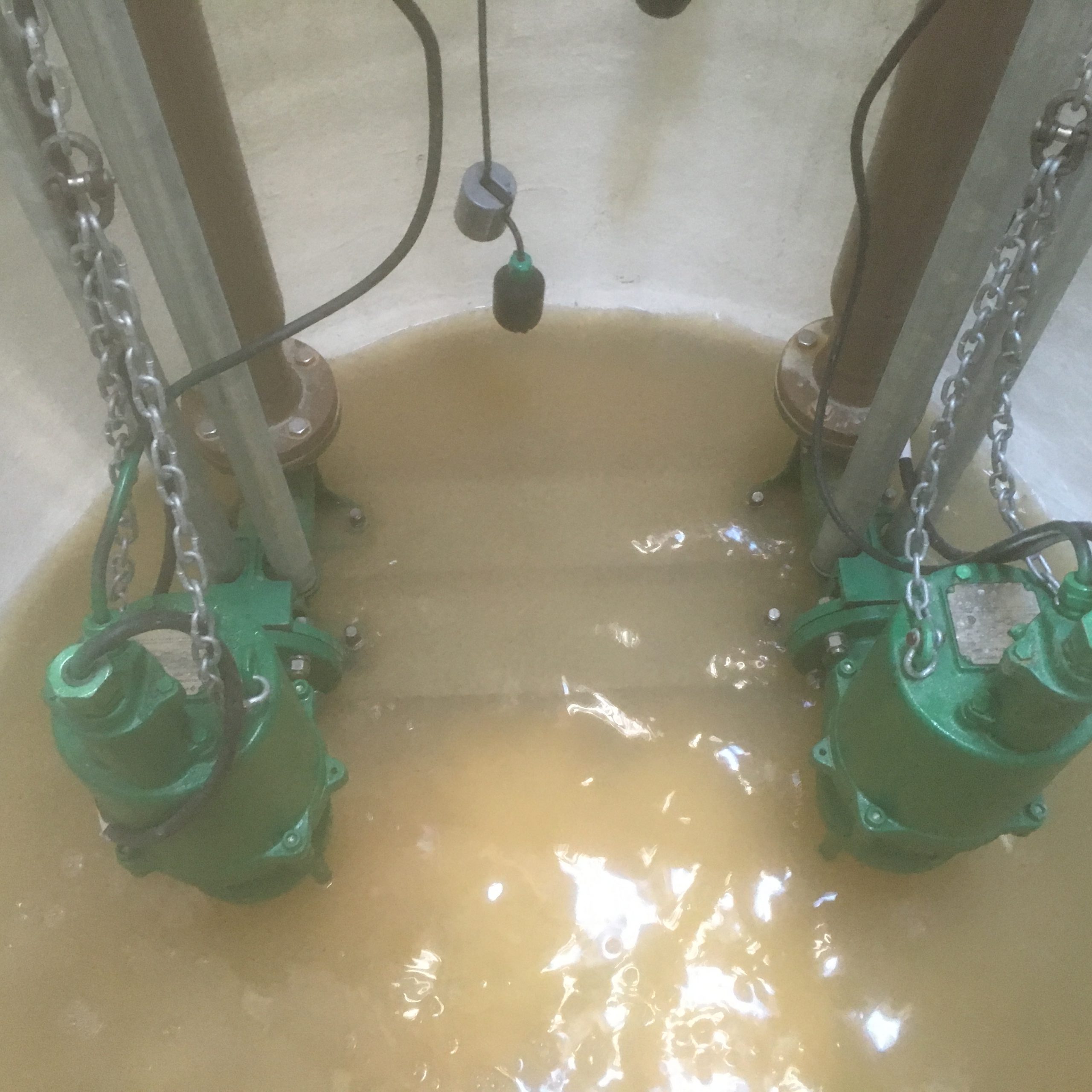 Double Sanitary Sump Pump Install – Three Lakes Plumbing and Gas